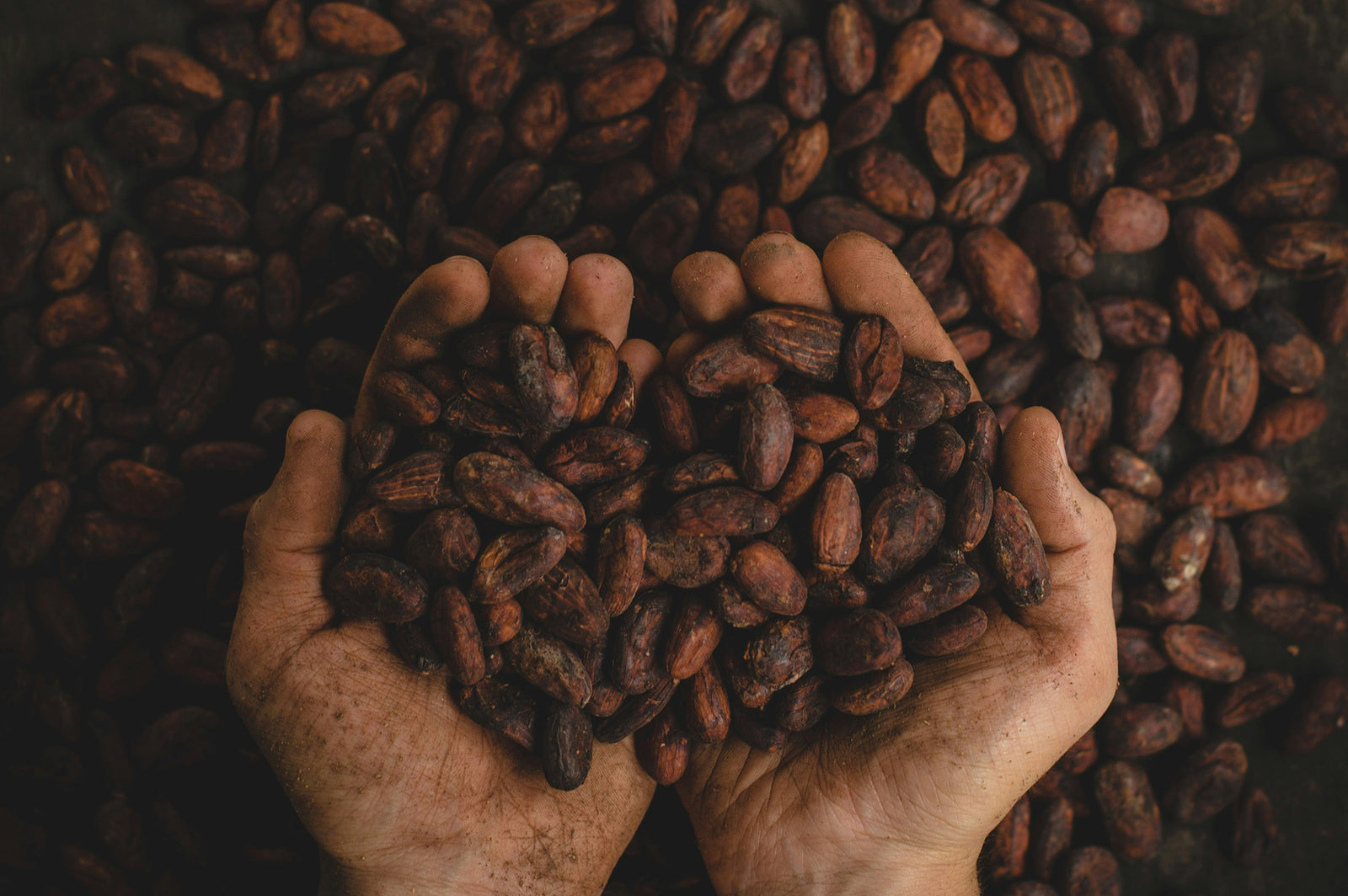 How Cacao Can Improve Your Exercise Capacity & Performance